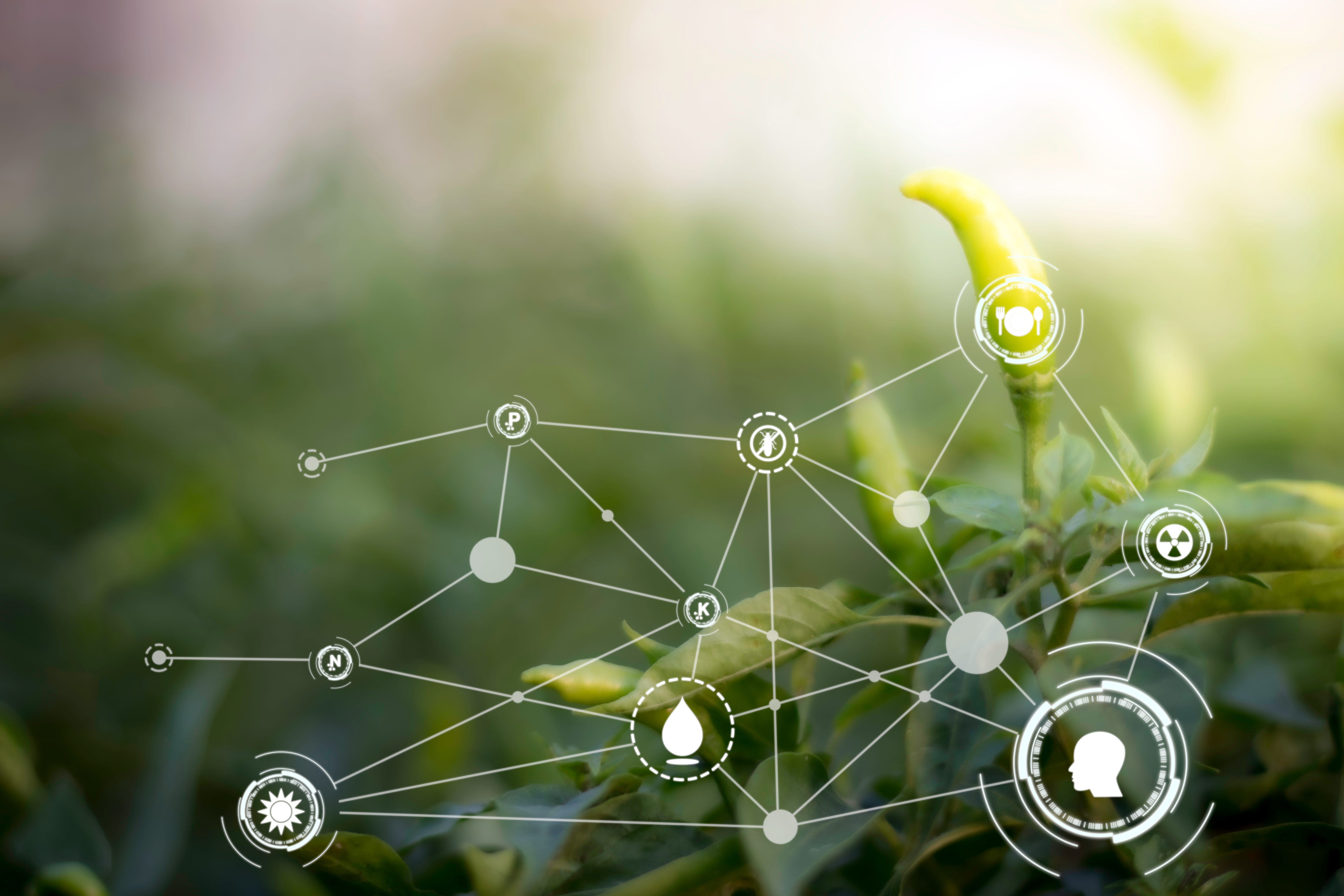 Como o Big Data revolucionará a agricultura que conhecemos hoje?